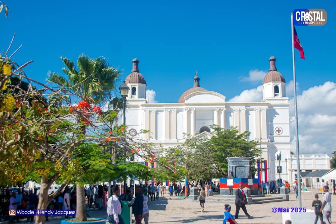 MOBILISATION DANS LE NORD EN SOUTIEN AU PROFESSEUR SAINT-FLEUR WILLIAMSON